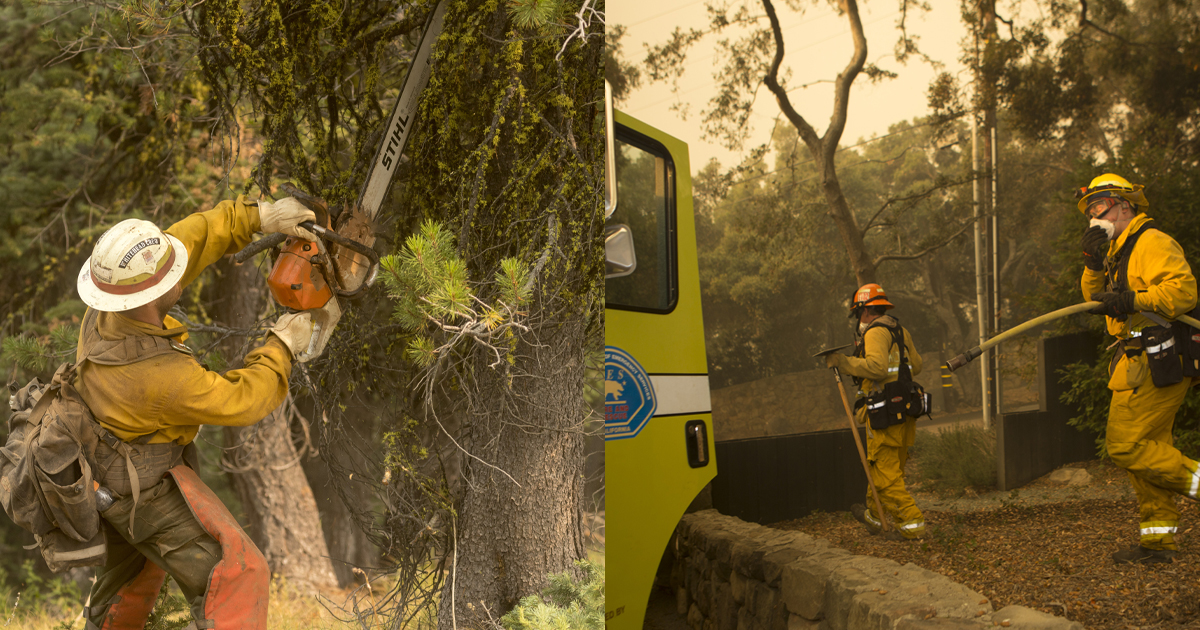 Structure vs. Wildland firefighter. What’s right for you? | True North ...