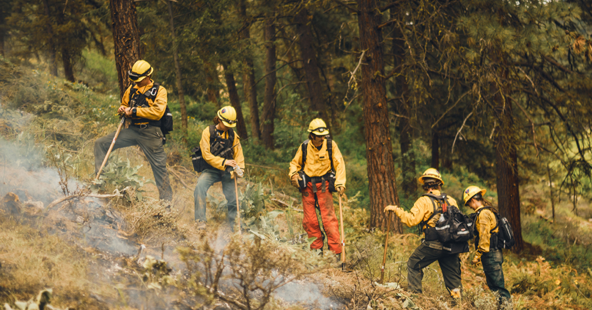 Honoring Our Heroes on Wildland Firefighter Appreciation Day | True ...