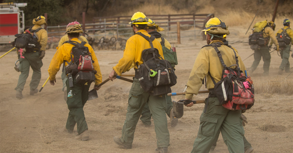 What Are Hotshot Crews in Wildland Firefighting? | True North Gear, Shop today!