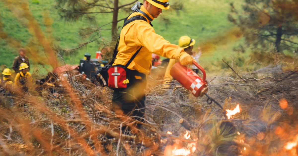 Cultural Burning Practices: The Importance of Good Fire | True North ...