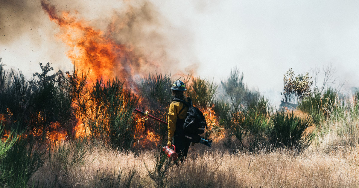 The Science Behind Wildfire Behavior | True North Gear, Shop today!